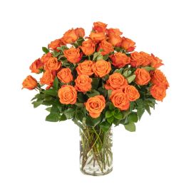 36 Orange Roses Designed Beautifully